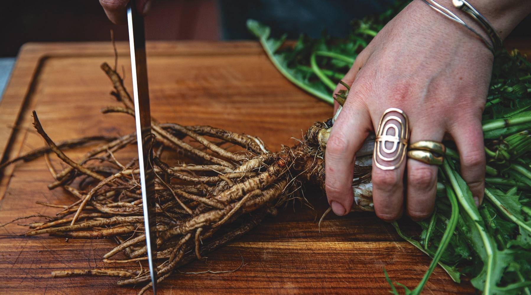 Four foraged foods that will wow Thanksgiving guests - Woodshed: An ...