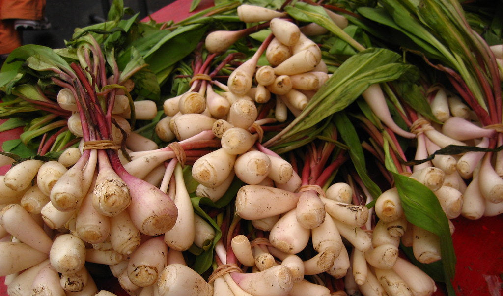 WV Explorer: WV Ramp Dinners & Festivals - Woodshed: An Appalachian Joint