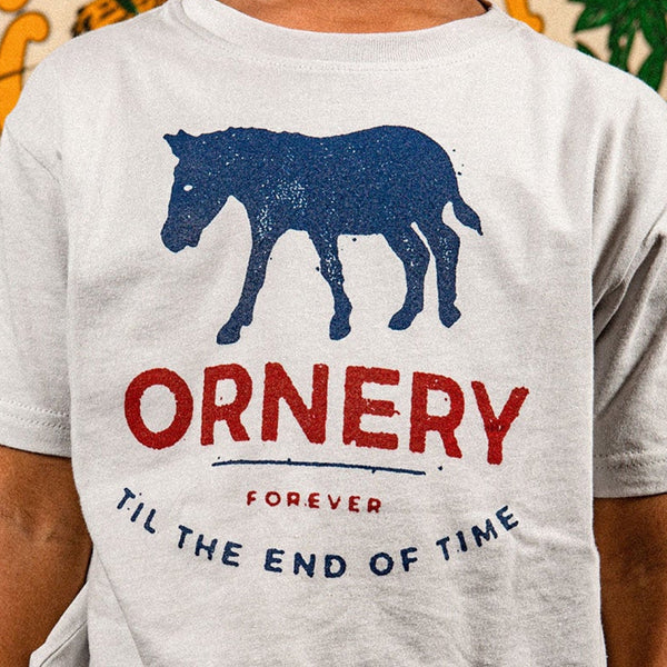 SALE: Ornery Kids Tee - Woodshed: An Appalachian Joint